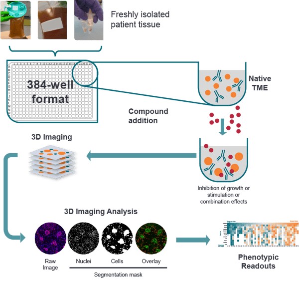 3D Ex Vivo Patient Tissue Platform | Crown Bioscience