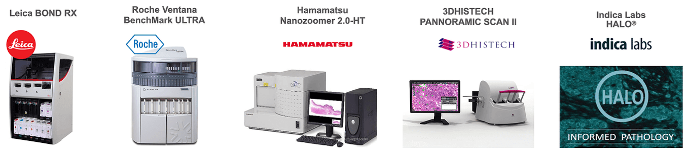 Advanced Digital Pathology & Histology for Biomarker Analysis | Crown ...