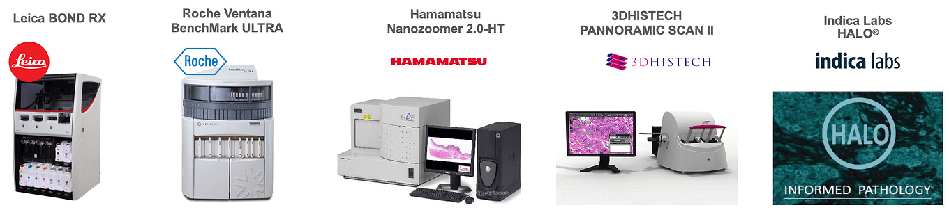 Advanced Digital Pathology & Histology for Biomarker Analysis | Crown ...