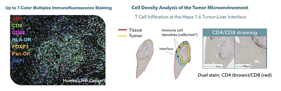 Advanced Digital Pathology & Histology for Biomarker Analysis | Crown ...