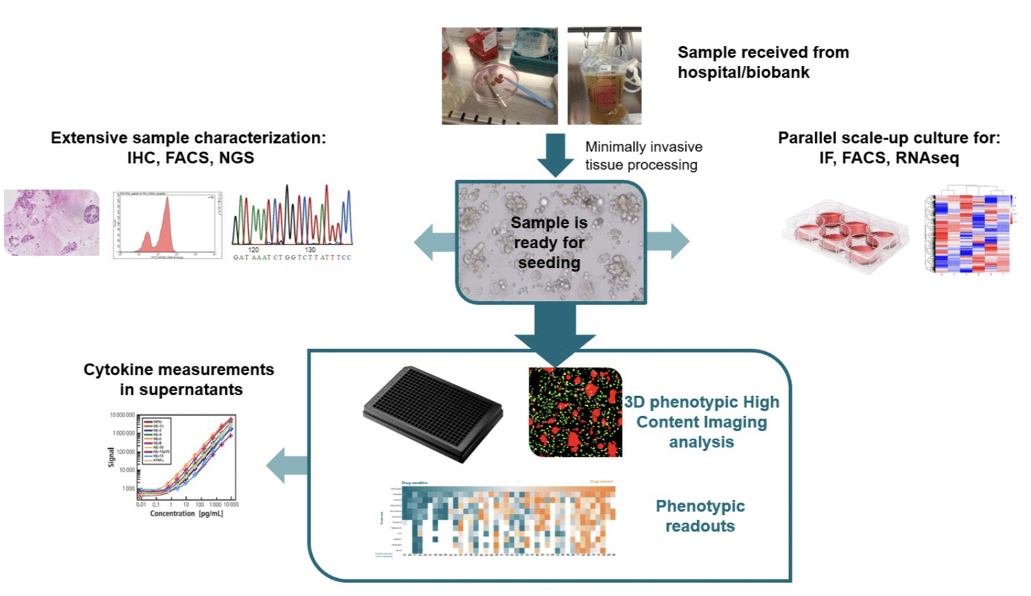 3D Ex Vivo Patient Tissue Platform | Crown Bioscience