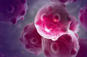 In Vivo Model Systems | Crown Bioscience