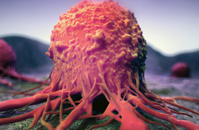 Innovative Model Systems for Preclinical Studies | Crown Bioscience