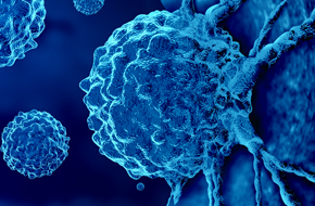 In Vivo Model Systems | Crown Bioscience