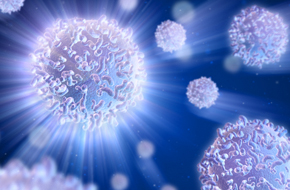 Service Type | Crown Bioscience