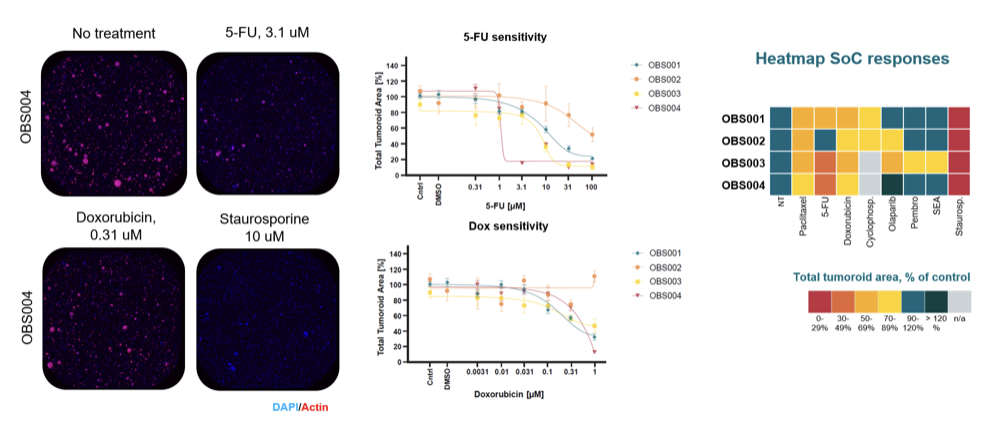 3D Ex Vivo Patient Tissue Platform | Crown Bioscience