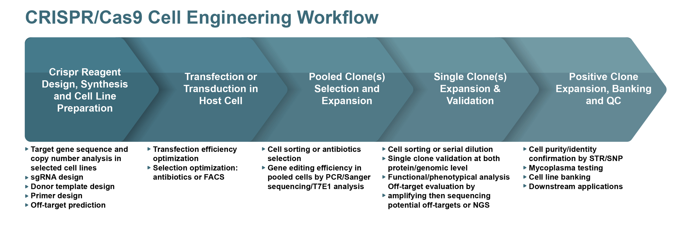CRISPR/Cas9 Gene Editing Services | Precision & Efficiency | Crown ...