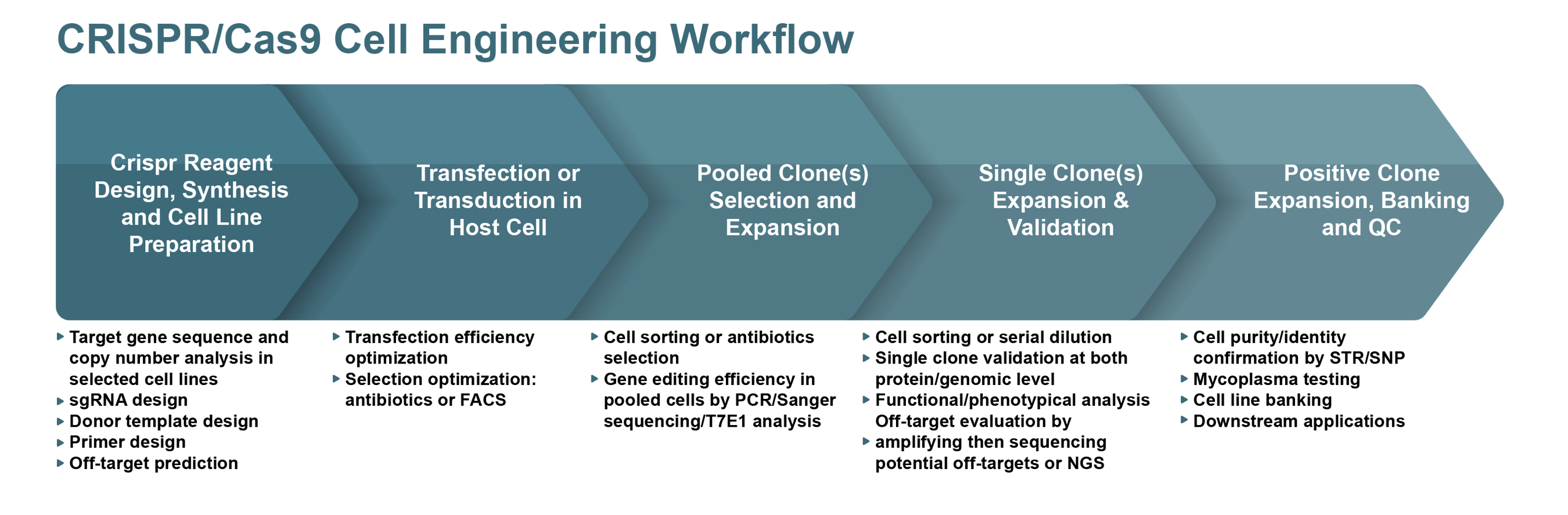 CRISPR/Cas9 Gene Editing Services | Precision & Efficiency | Crown ...