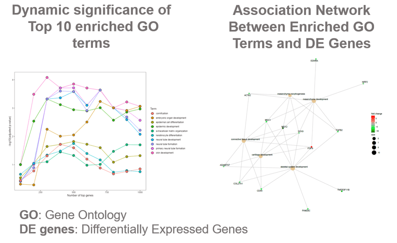 NGS Data Analysis | Crown Bioscience