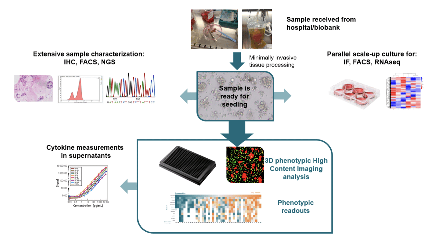 3D Ex Vivo Patient Tissue Platform | Crown Bioscience