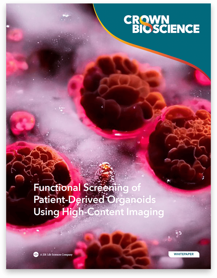 White Paper: Unveiling the Future of Oncology: Functional Screening with Patient-Derived ...