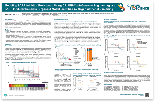 AACR 2025 Poster 418: Assessment of PARP Inhibitor Sensitivity Through Organoid Panel Screening ...