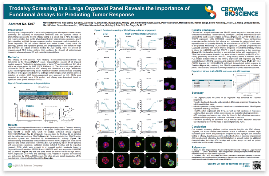 AACR 2025 Poster 5497: Trodelvy Screening in a Large Organoid Panel ...