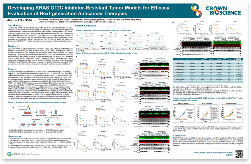 AACR 2025 Poster 5524: Developing KRAS G12C Inhibitor–resistant Tumor Models for Efficacy ...