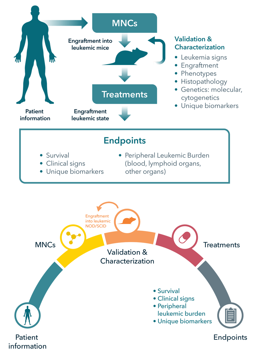 AML Drug Development | Crown Bioscience