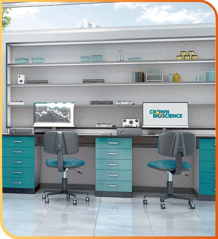 Preclinical Oncology CRO | Contract Research Drug Development Company