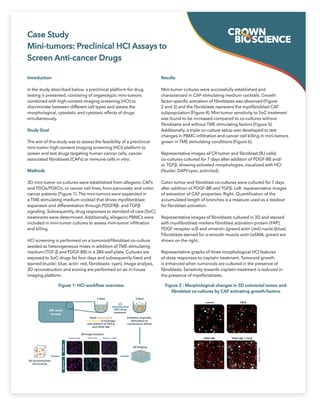 Mini-tumors: Pre-clinical HCI assays to screen anti-cancer drugs in the ...