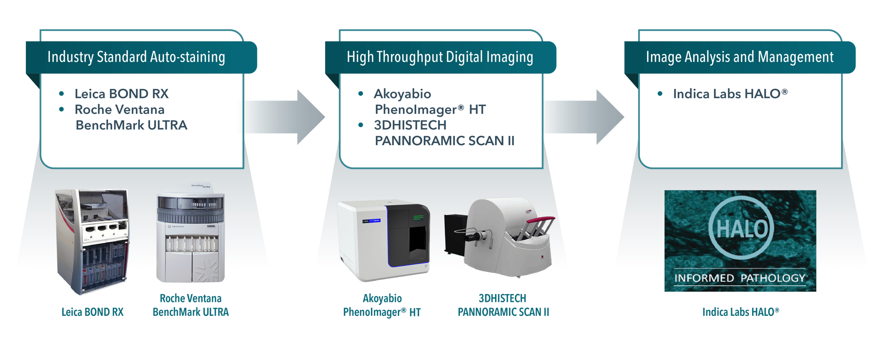 Advanced Digital Pathology & Histology for Biomarker Analysis | Crown ...