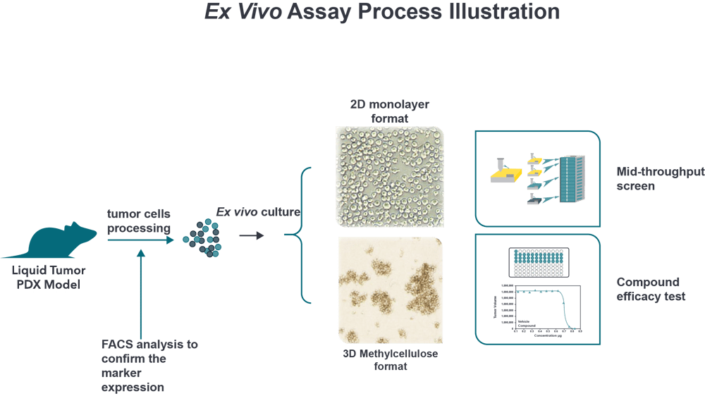 3,000+ PDX Cancer Models | Solid Tumor PDX Models Library for Deeper ...