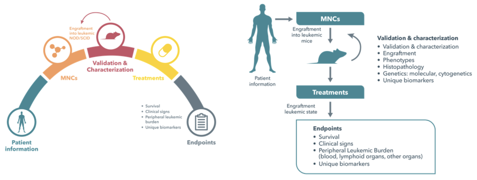 3,000+ PDX Cancer Models | Solid Tumor PDX Models Library for Deeper ...