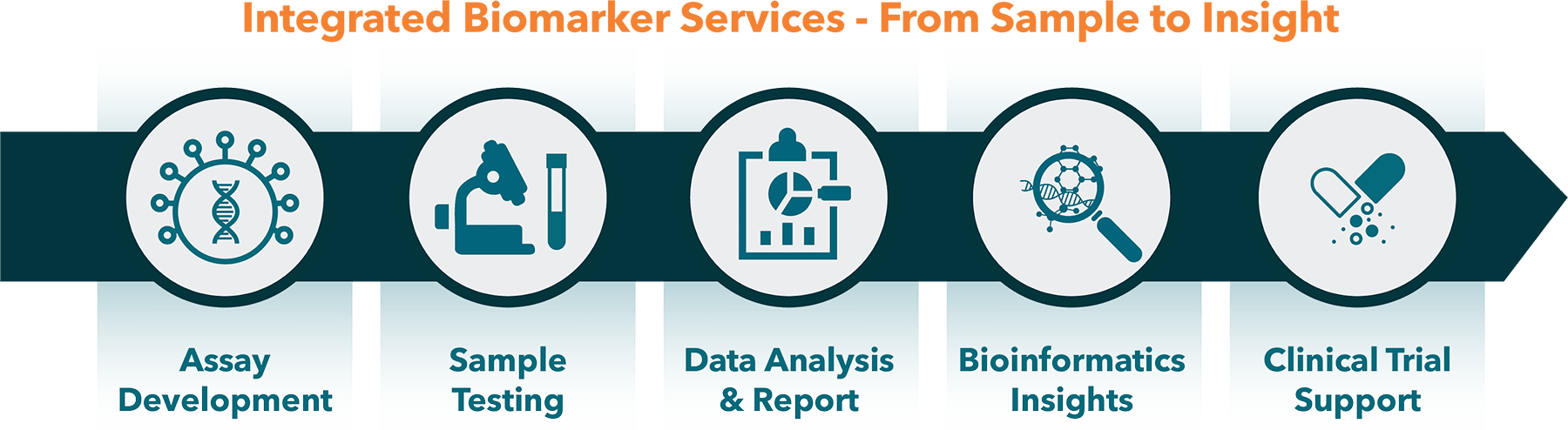 Clinical Biomarker Services | Crown Bioscience