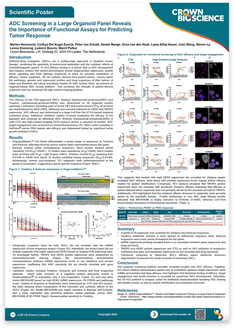 Organoid Panel for ADC Screening