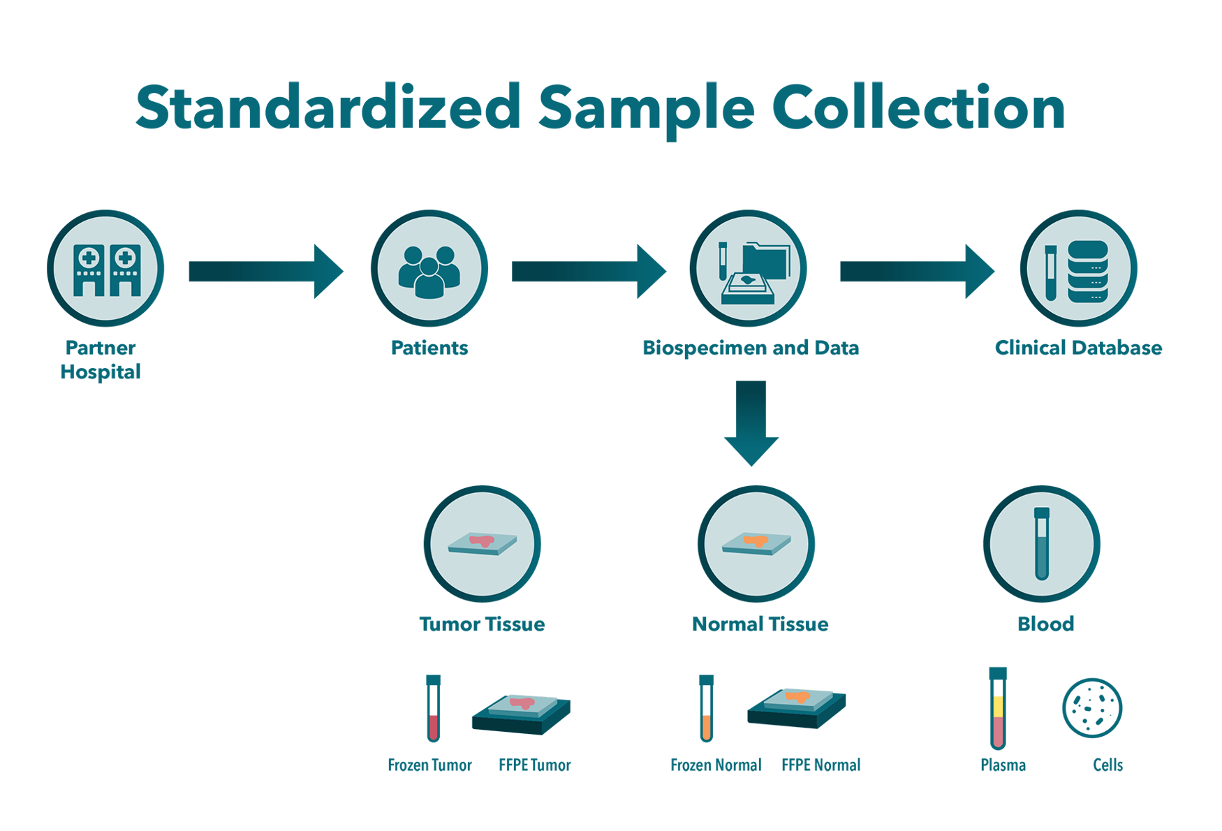 Human Biospecimen Solutions | Crown Bioscience