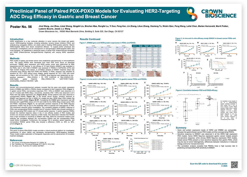 World ADC 2025 Poster 56: Preclinical Panel of Paired PDX-PDXO Models for Evaluating HER2 ...