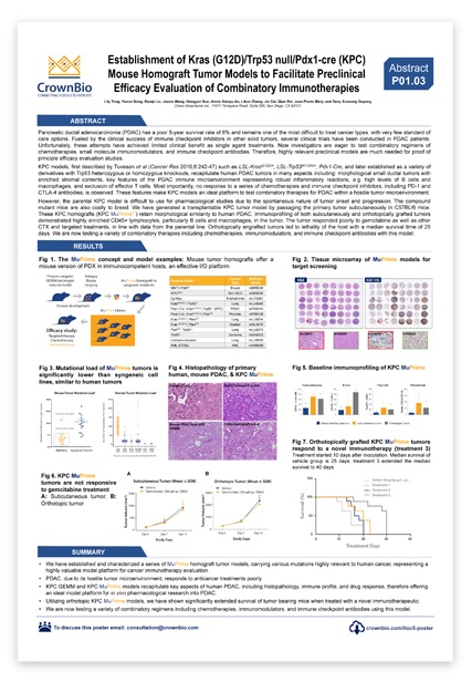 KPC Homograft Models for PDAC Combination Immunotherapy Development