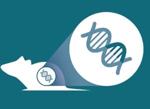 Preclinical Models Collection | Oncology Care Model