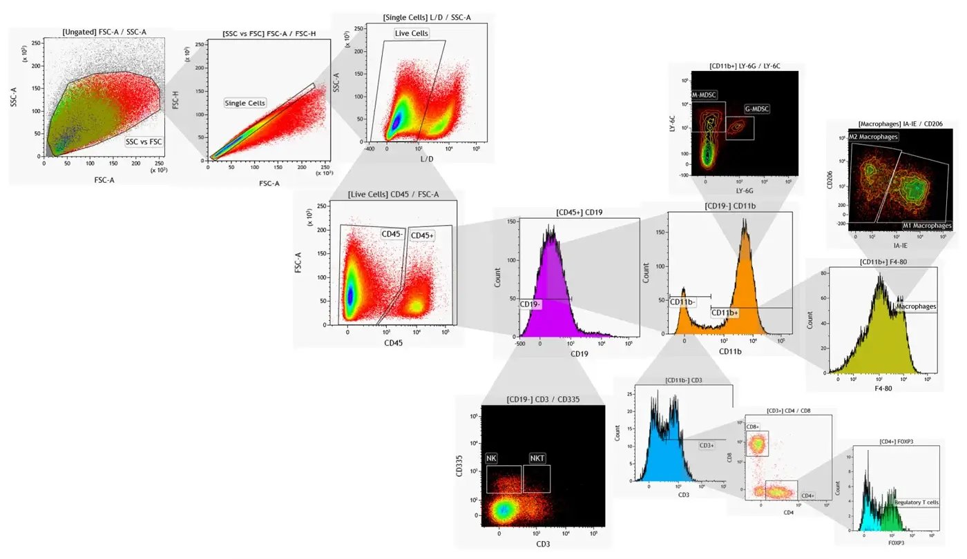 Comprehensive Flow Cytometry Analysis Services | Crown Bioscience