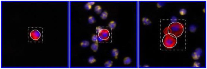 Rare Cell Analysis | Crown Bioscience