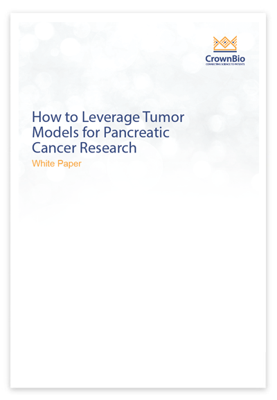 White Paper: How to Leverage Tumor Models for Pancreatic Cancer Research