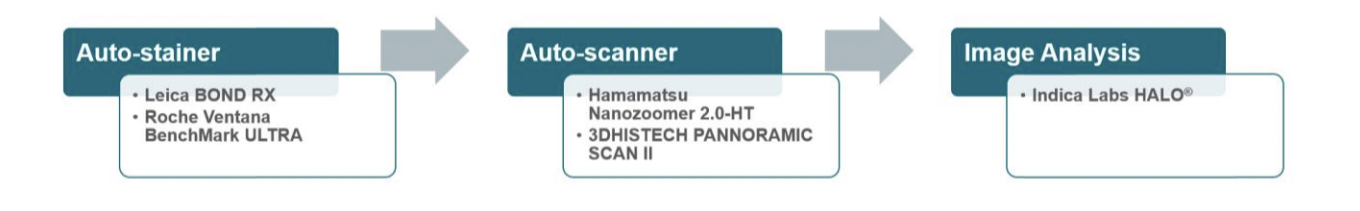 Digital Pathology | Crown Bioscience
