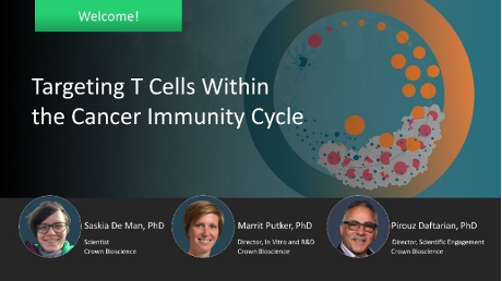 Webinar: Targeting T Cells Within the Cancer Immunity Cycle