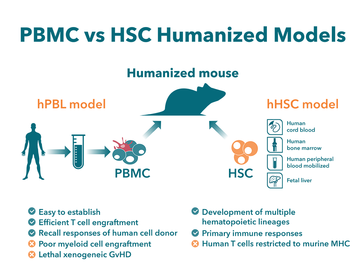 Crown Bioscience Blog | Ludovic Bourré, PhD