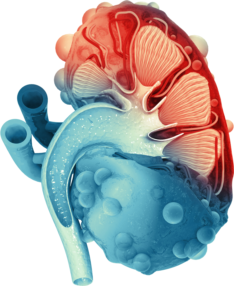 Preclinical Oncology CRO | Contract Research Drug Development Company ...