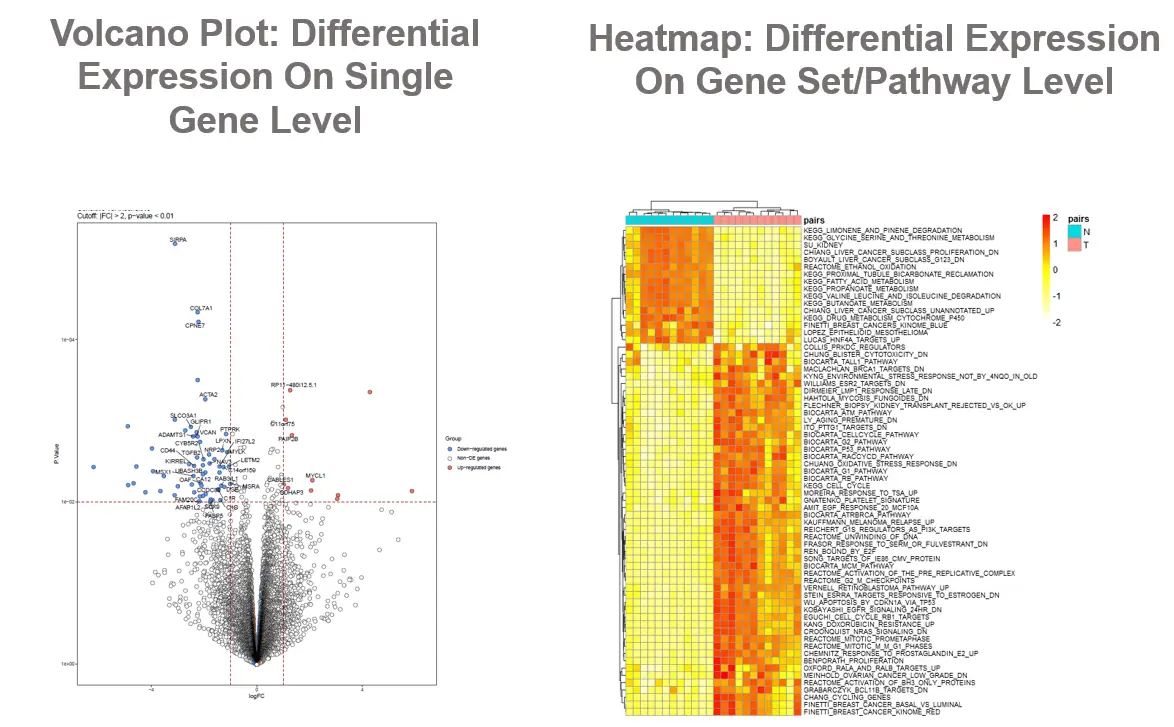 NGS Data Analysis | Crown Bioscience